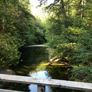 J: Staff Arrival Day (Camp Myrtlewood Oregon) - Not Back to School Camp