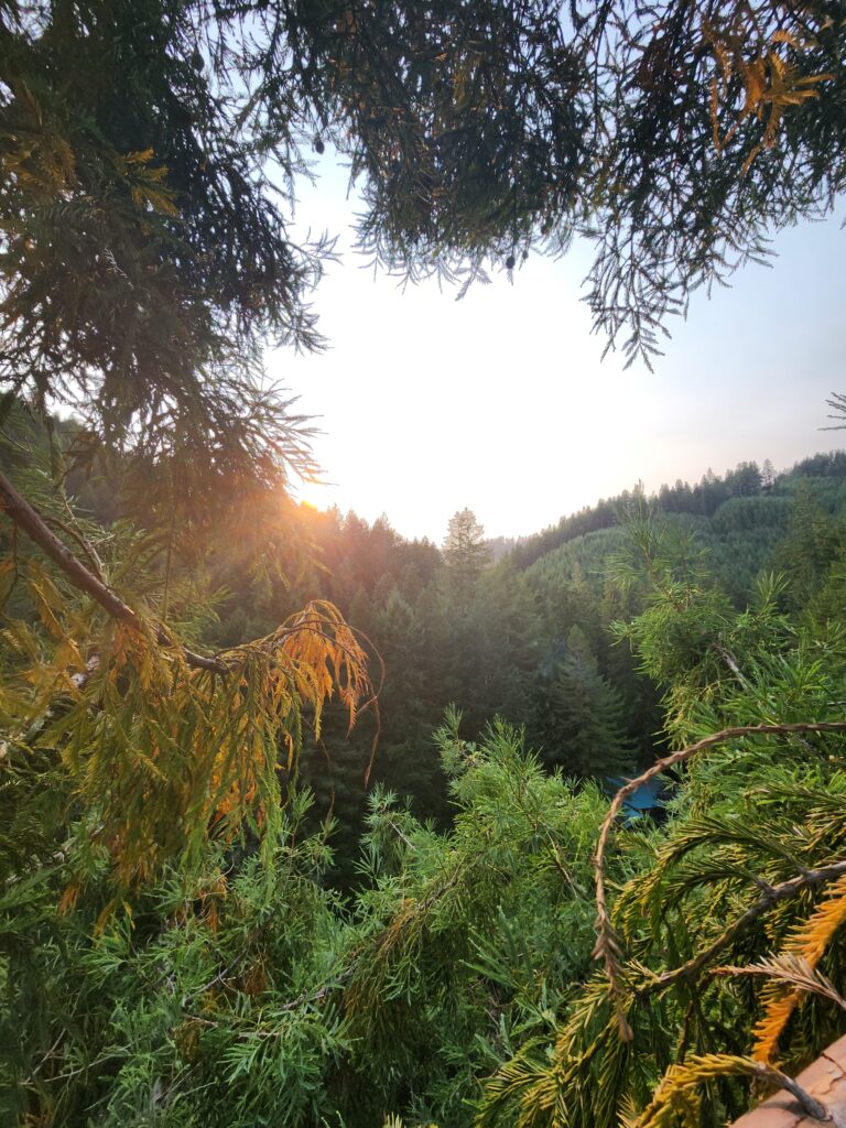 Alastar: Camp Myrtlewood, Sleep-in Day (Day 12) - Not Back to School Camp