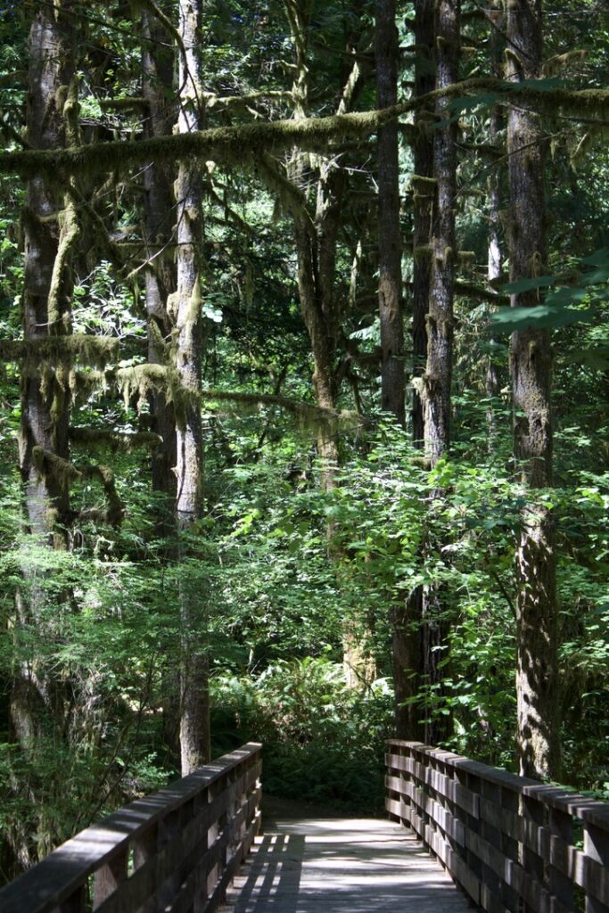 Maya Rose: Arrival Day, Camp Myrtlewood (Day 0) - Not Back to School Camp