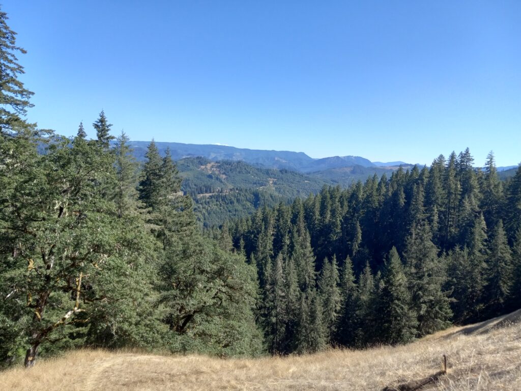 Anon: Camp Myrtlewood (Day 4) - Not Back to School Camp